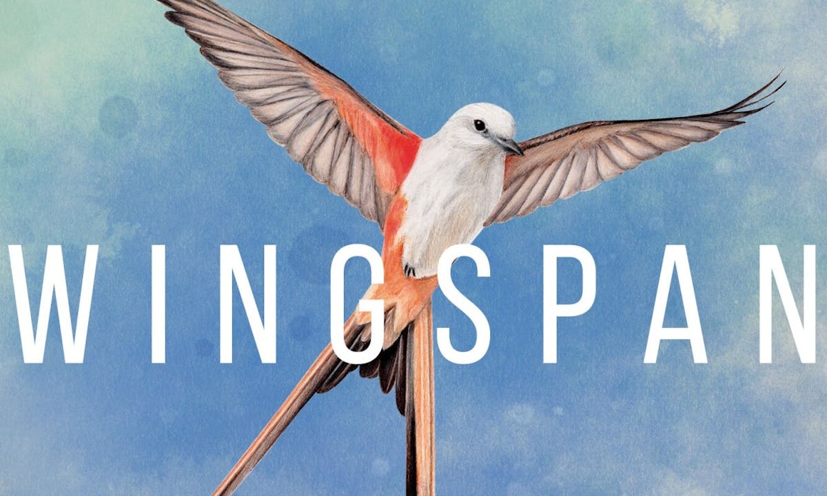 Jocari — Toy Store in Liège