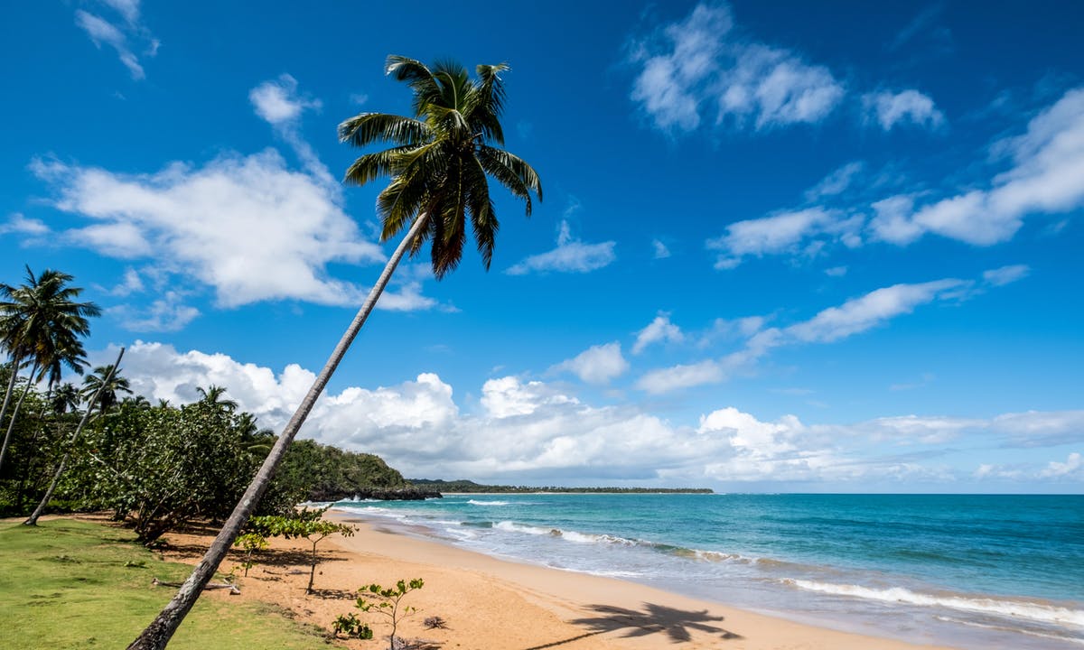 La Case Créole — Restaurant créole à Aix-en-Provence