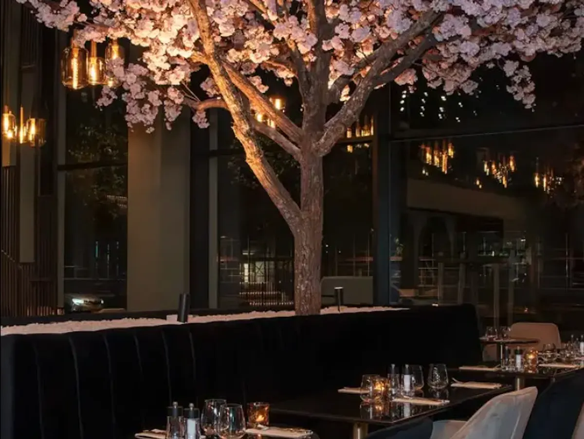 The Tree — Restaurant de cuisine française à Paris